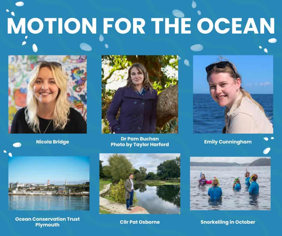 ‘Motion for the Ocean’ swims upstream – Blandford Forum Town Council